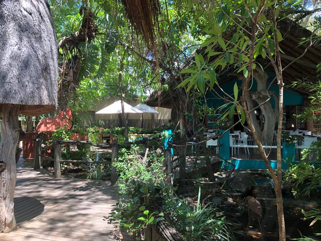 Botswana – Tag 6: Von Graskop in den Kruger Nationalpark - Geführte Touren